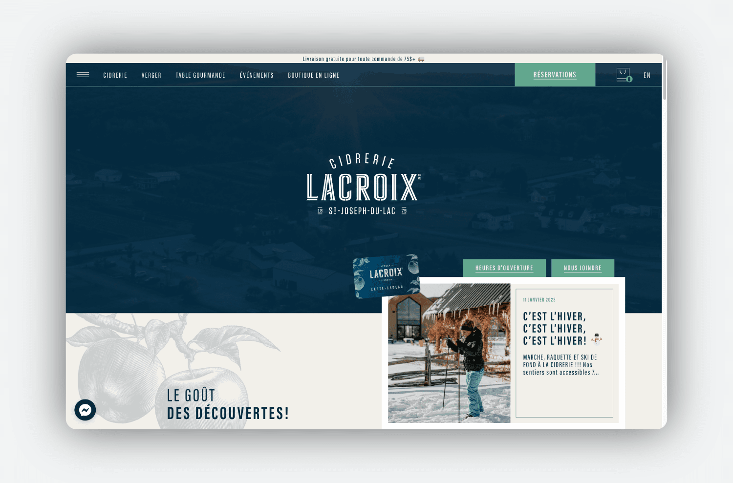 Website Development - Dreww